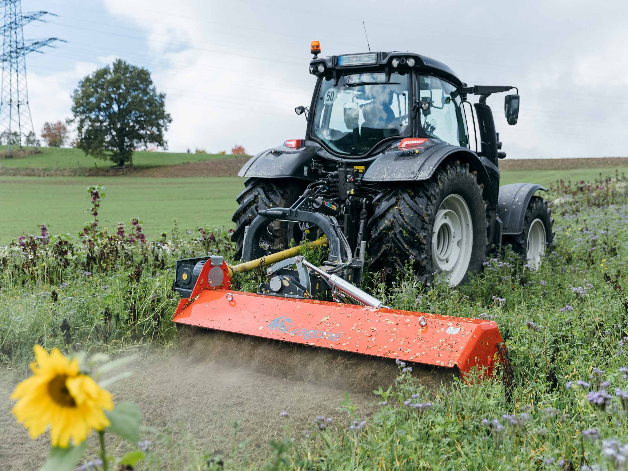 DRAGONE Serie ROAD L - Seitenmulcher für kleine Traktoren